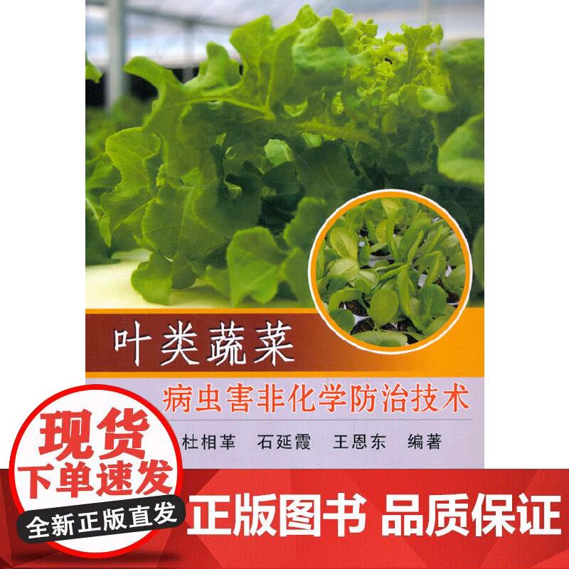 叶类蔬菜病虫害非化学防治技术