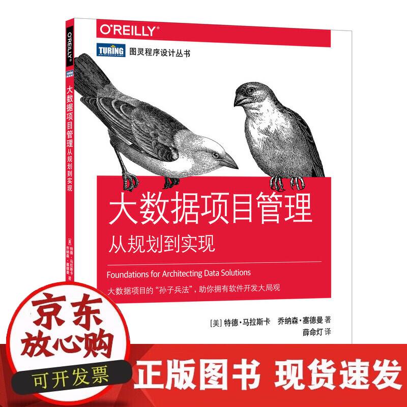 【现货】大数据项目管理 从规划到实现