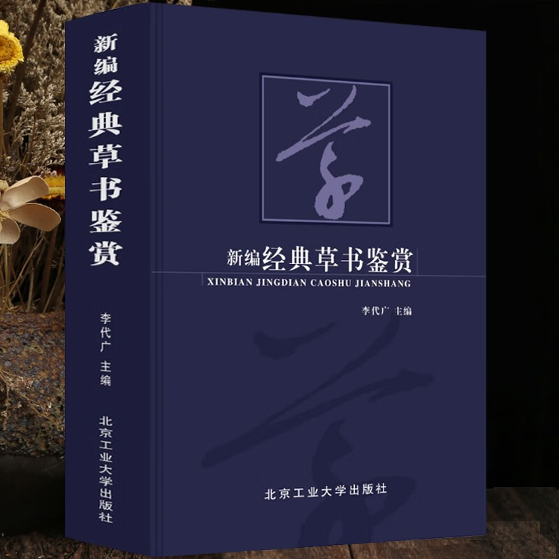 新编经典草书鉴赏精装典藏版中国行书草书楷书隶书篆书等书籍