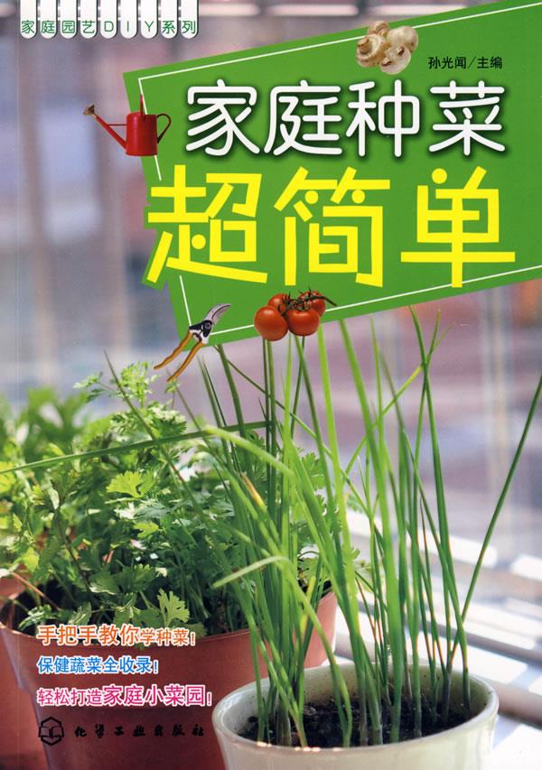 家庭园艺DIY系列--家庭种菜超简单
