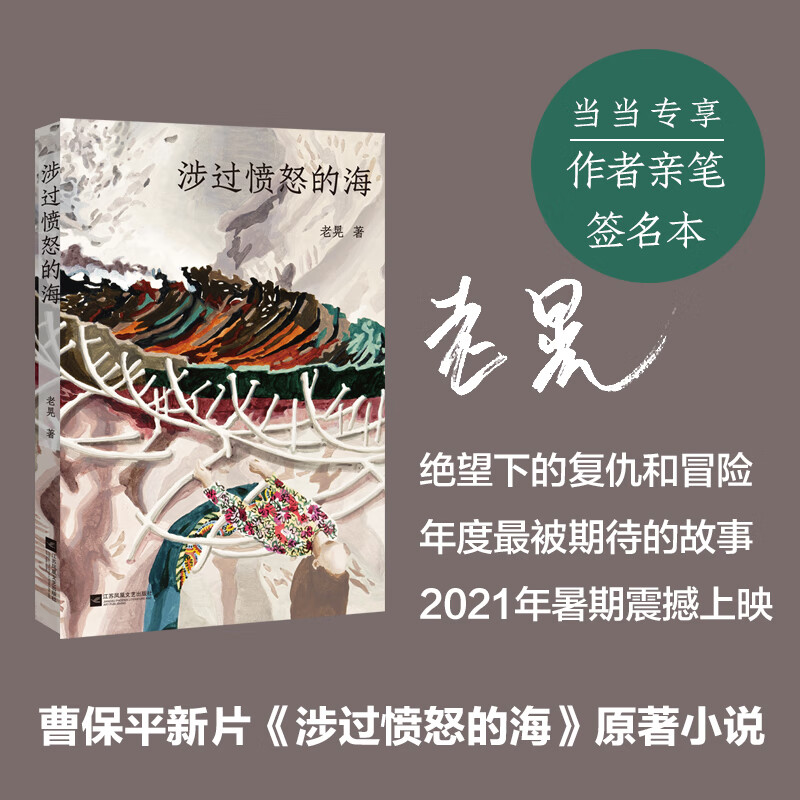 涉过愤怒的海（曹保平导演同名电影原著，黄渤、周迅主演）