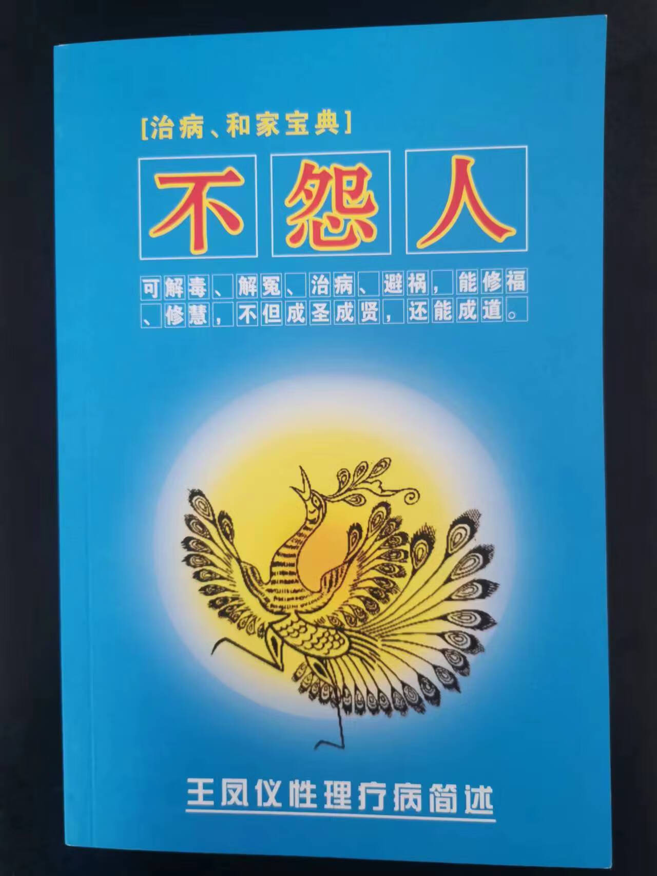不怨人 王凤仪性理疗病简述
