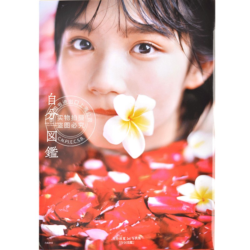 现货 进口日文 AKB48矢作萌夏1st写真集 自分図鑑