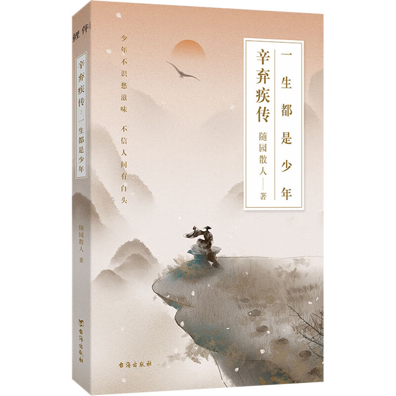 辛弃疾传 一生都是少年 随园散人 书籍 图书