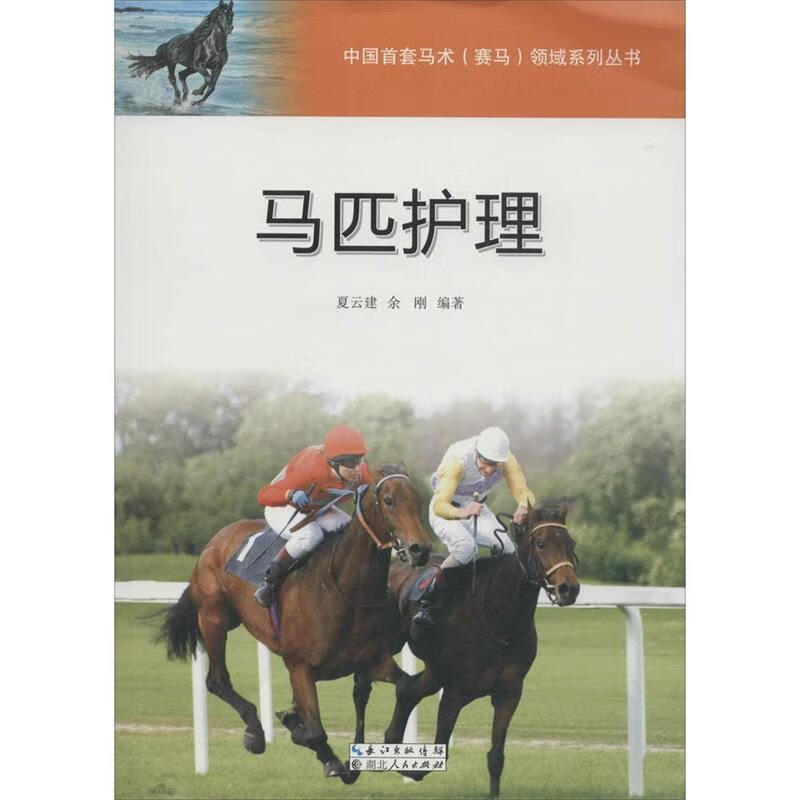 马匹护理