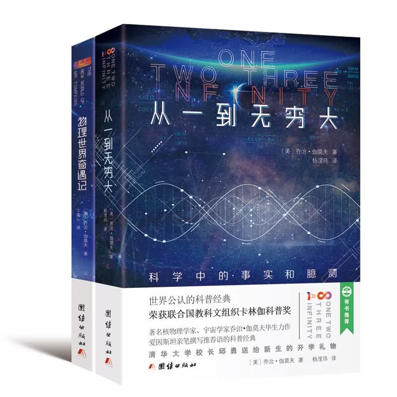 2册）从一到无穷大+物理世界奇遇记（套装全二册） 小学初中高中大学数学物理化学科普丛书