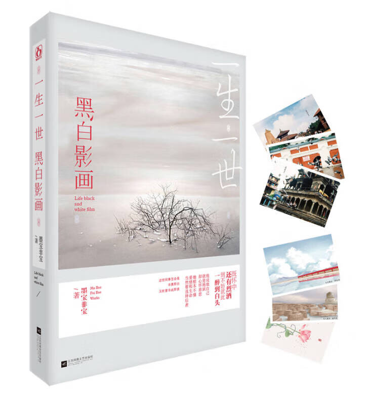 一生一世黑白影画 墨宝非宝【好书】