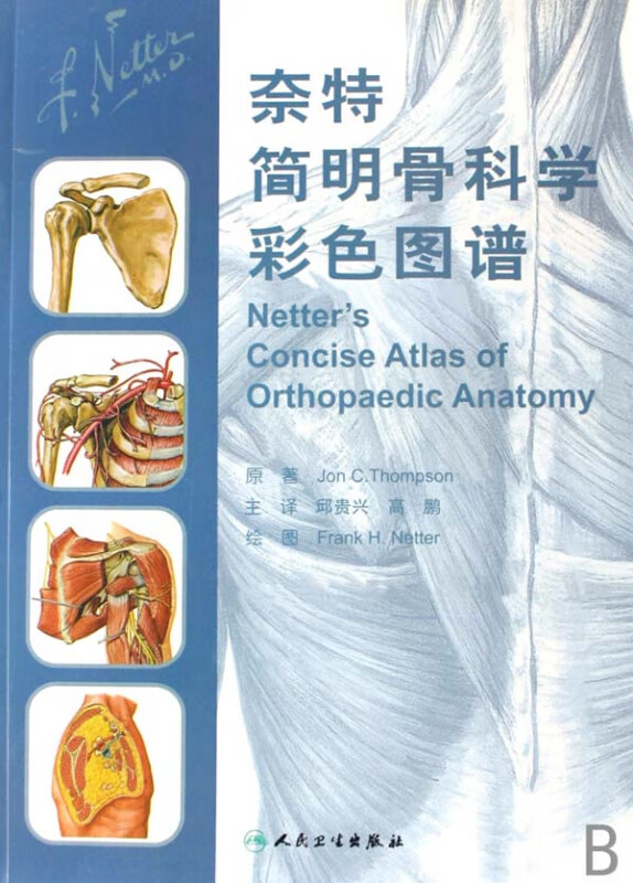 奈特简明骨科学彩色图谱