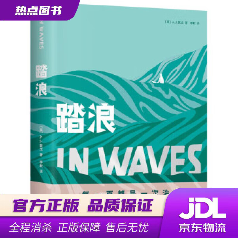 踏浪 [美]A.J.,敦戈 著 四川美术出版社