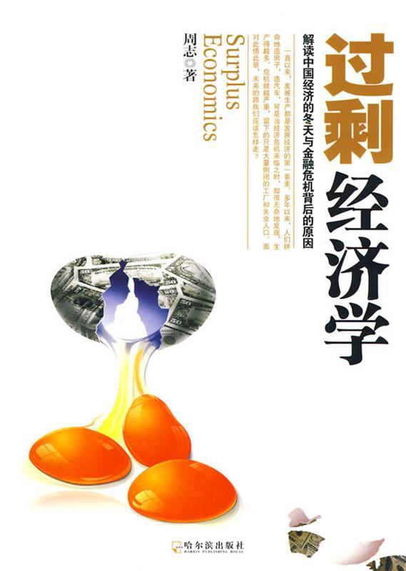 过剩经济学 周志 著