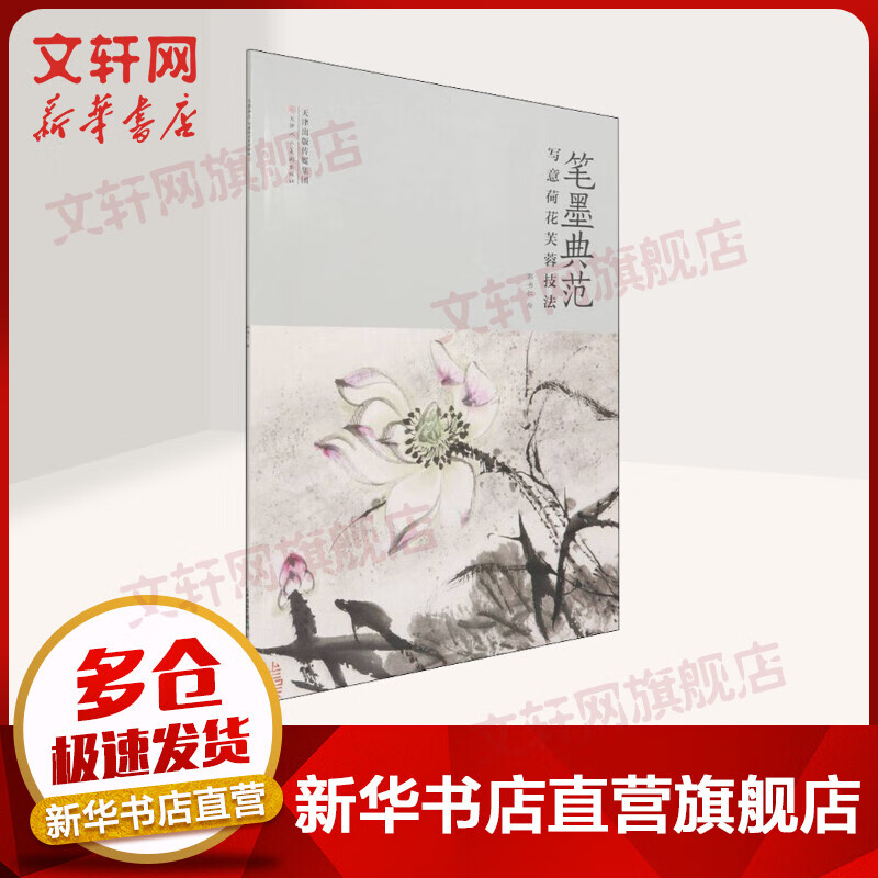 笔墨典范 写意荷花芙蓉技法 图书