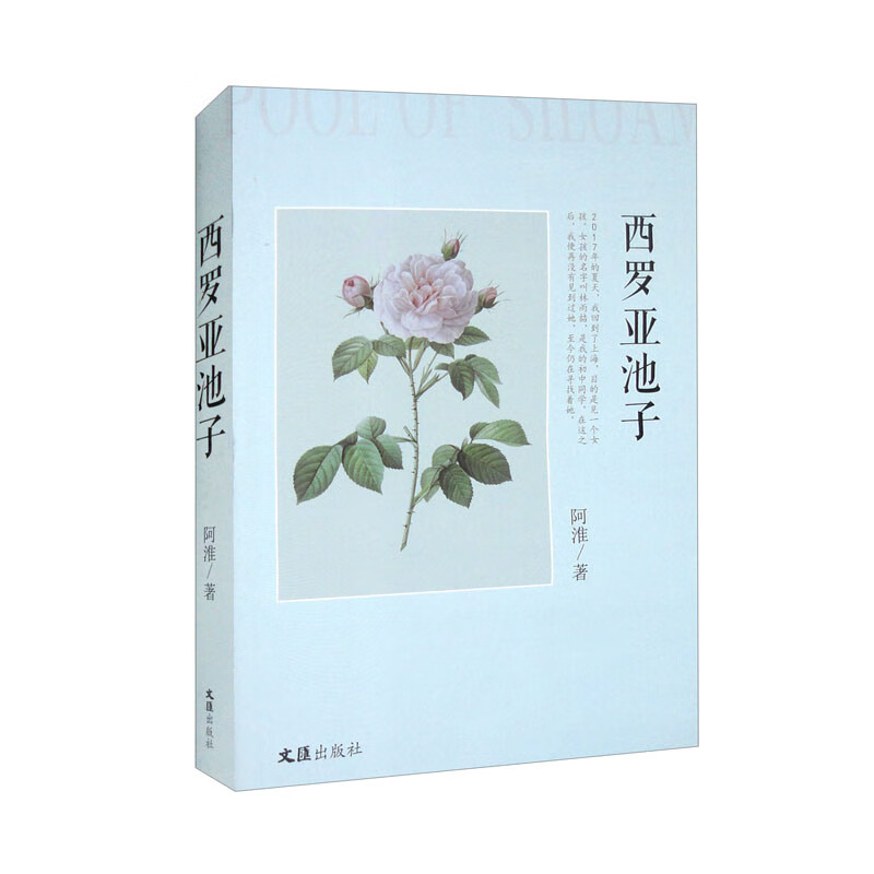 近现代小说系列作品精选 西罗亚池子