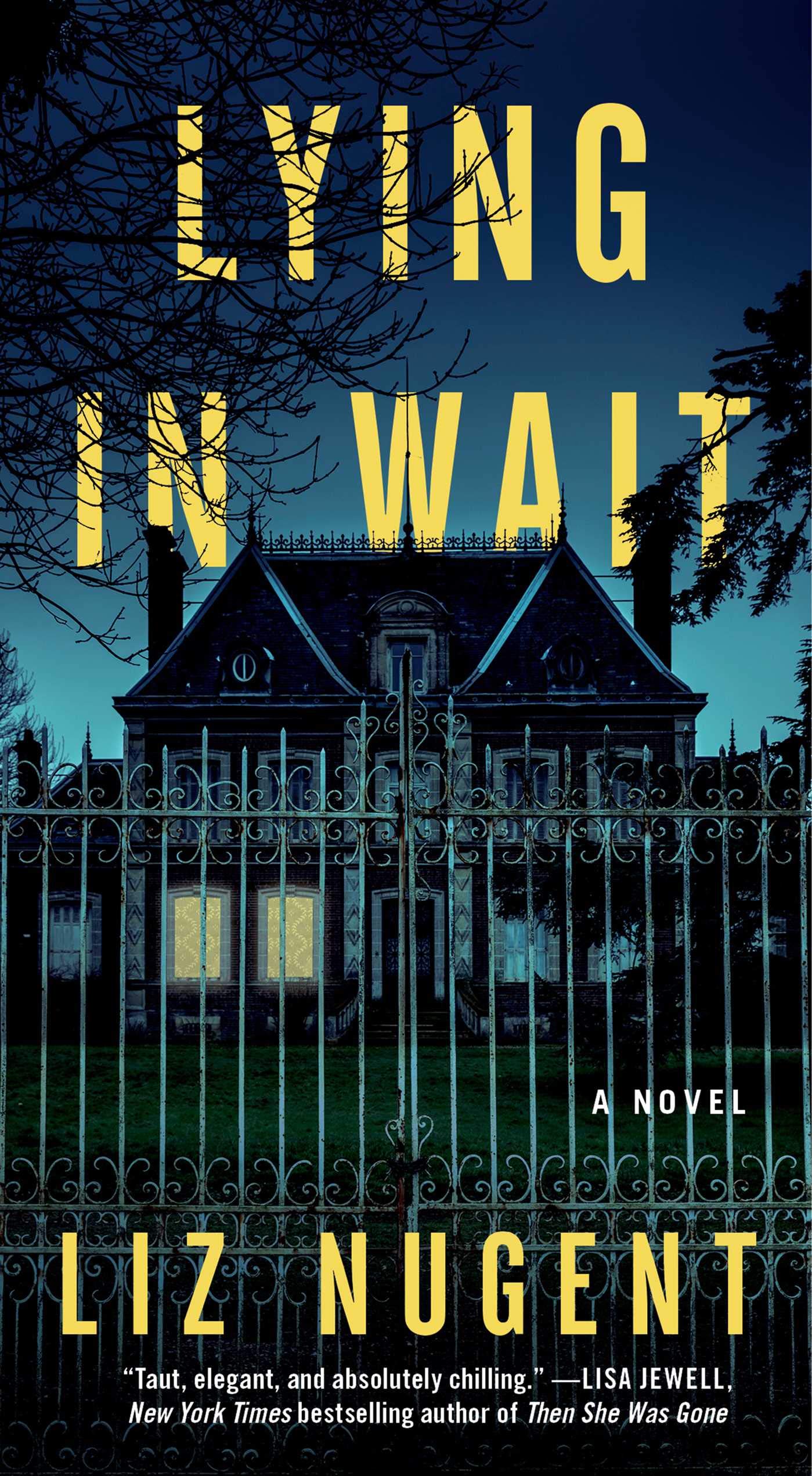 现货 伏击 英文原版 Lying in Wait 利兹·纽金特 Liz Nugent 只有