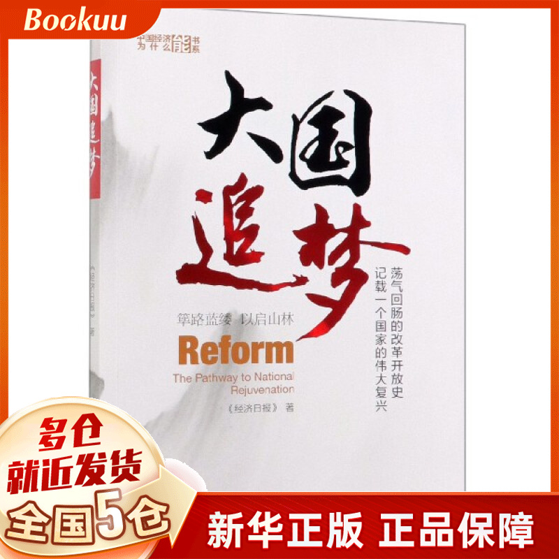 大国追梦/中国经济为什么能书系