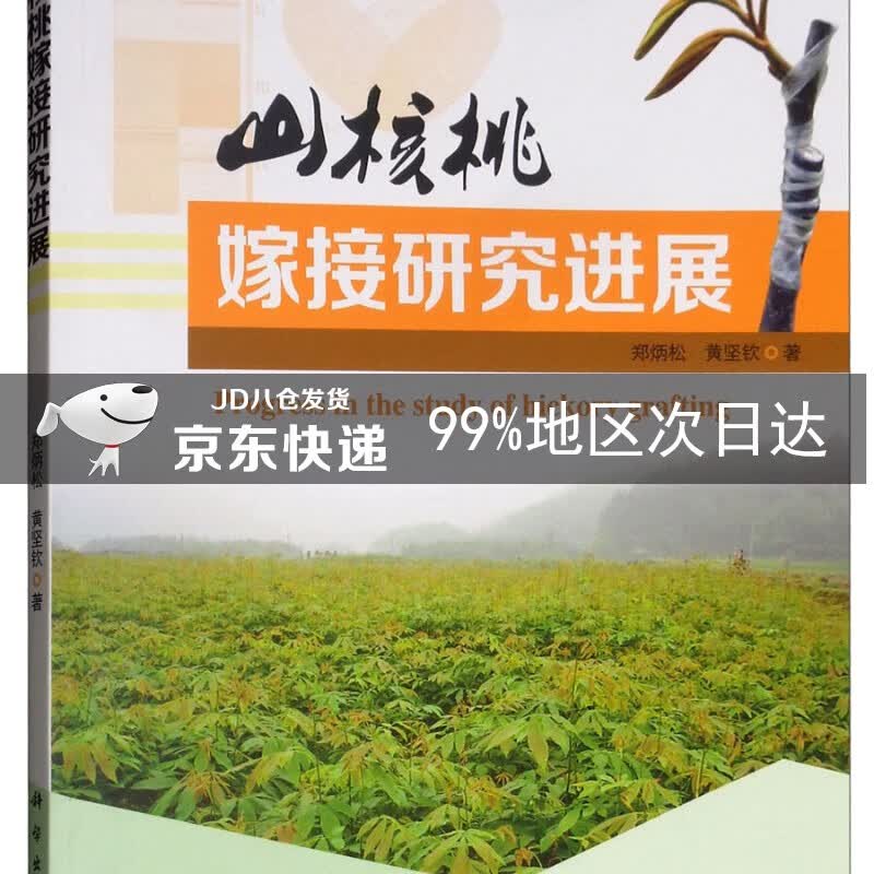 山核桃嫁接研究进展