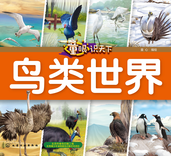 童眼识天下——鸟类世界童心 编