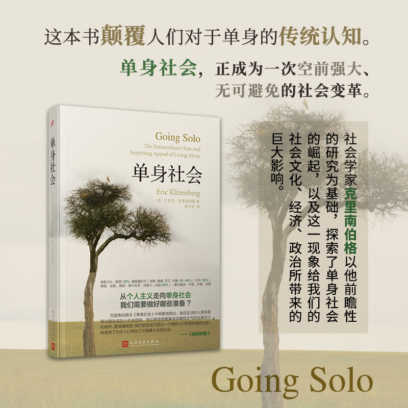 单身社会（精装）