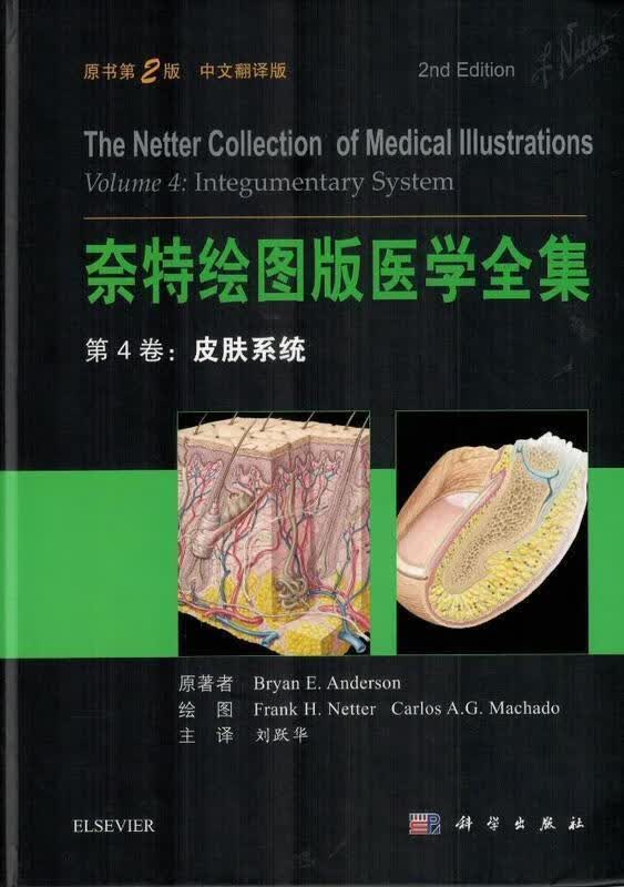 奈特绘图版医学 第4卷:皮肤系统