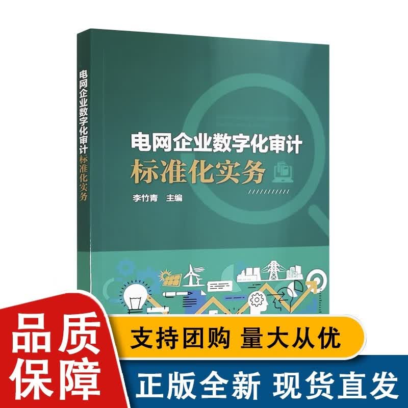 电企业数字化审计标准化实务
