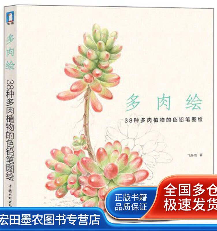 多肉绘 38种多肉植物的色铅笔图绘【好书】