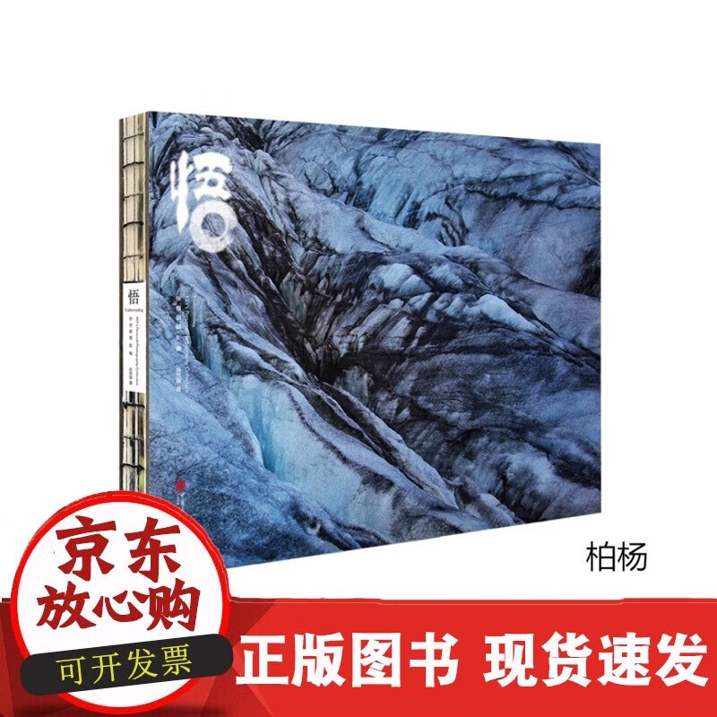 速发 悟张世旗集摄影艺术书籍