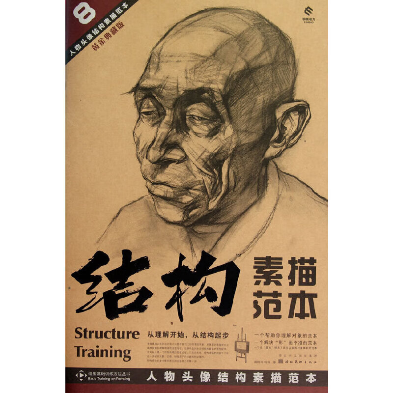 人物头像结构素描范本