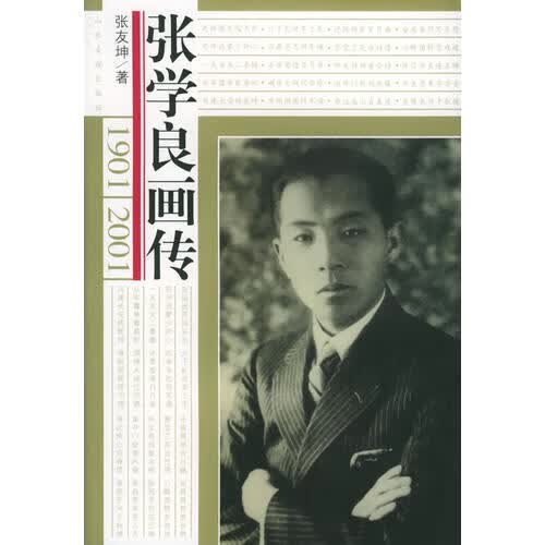 张学良画传 张友坤【好书，下单速发】