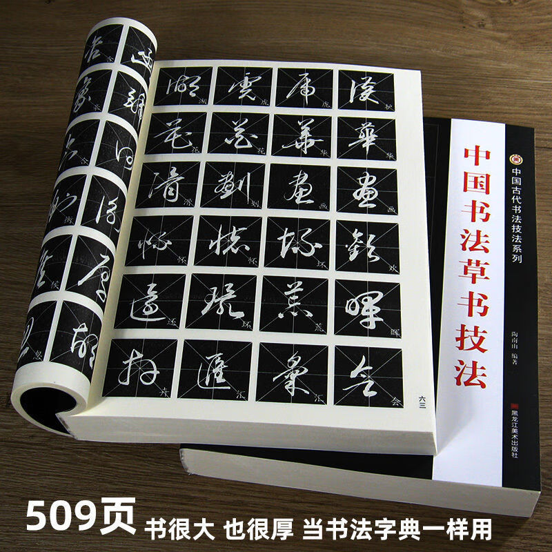 中国书法草书技法练字帖成年草书字帖练字初学者行草毛笔字王羲之 草书技法【509页】