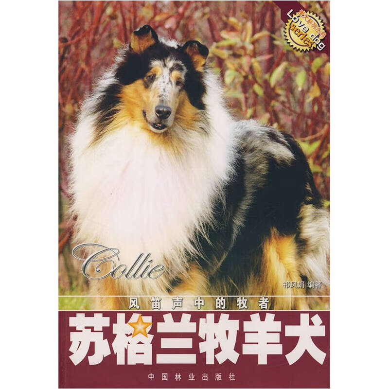苏格兰牧羊犬【好书】