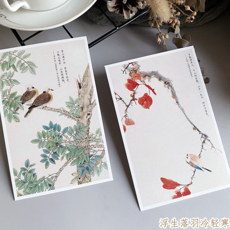 中国风明信片中式水墨画工笔画鸟语花香国画卡片纳兰诗词繁体古风 30张 浮生落羽冷轻寒 附1条流苏