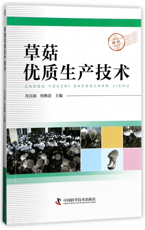 草菇优质生产技术