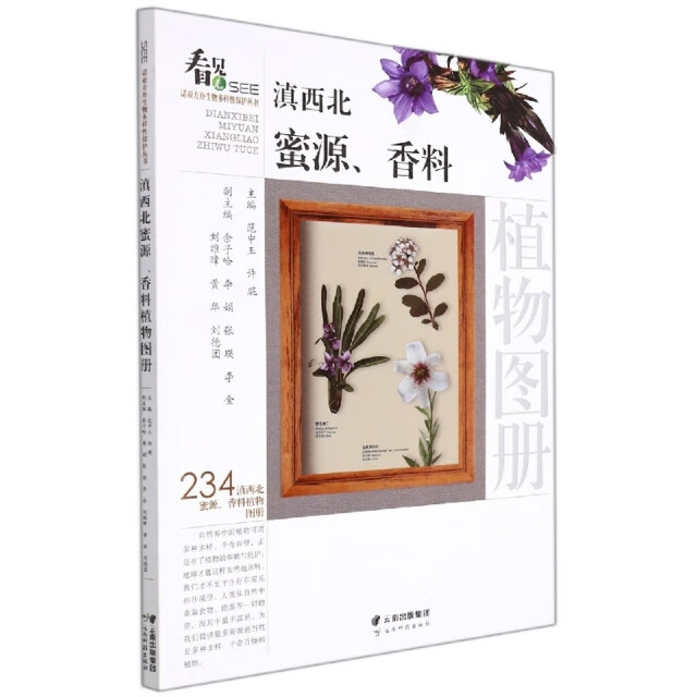 滇西北蜜源、香料植物图册 9787558736254