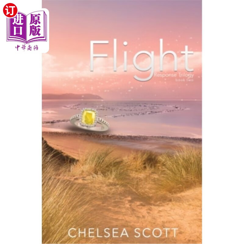 海外直订Flight 飞行