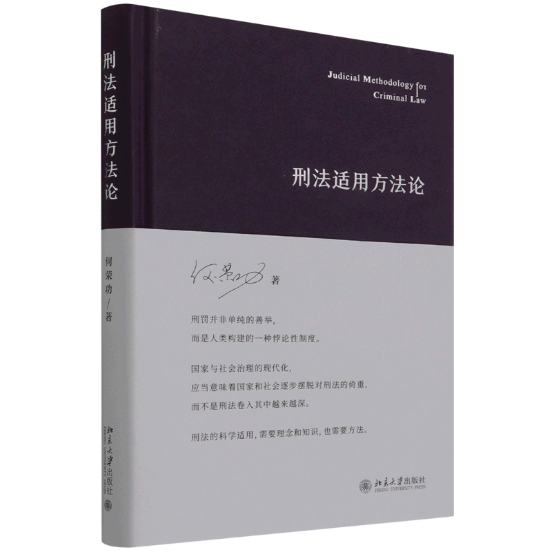 刑法适用方法论(精)