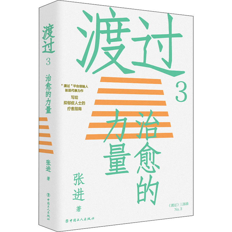 渡过3 治愈的力量 张进 书籍