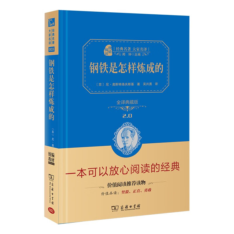 钢铁是怎样炼成的 新版 经典名著 大家名译（无障碍阅读 全译本精装 ）八年级下册阅读
