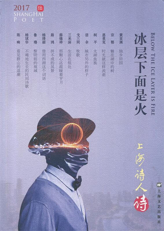 冰层下面是火 赵丽宏【书】