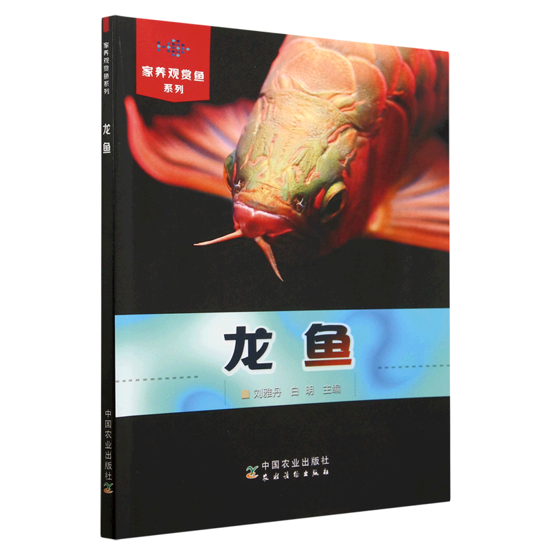 龙鱼/家养观赏鱼系列