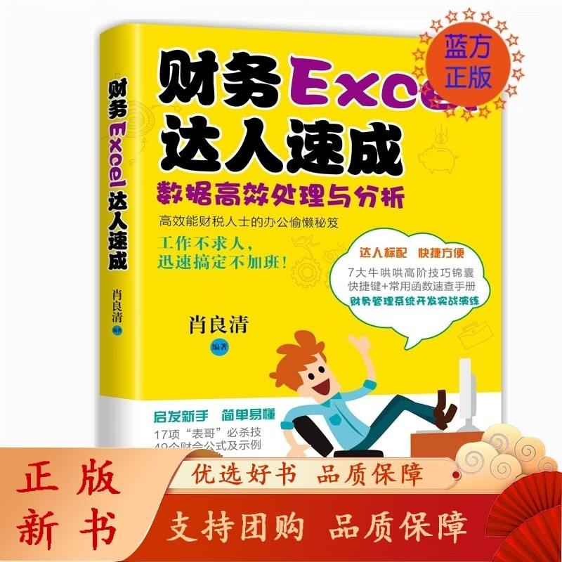 财务Excel达人速成：数据高效处理与分析  肖良清 编著