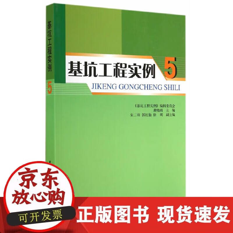 【现货】基坑工程实例 5