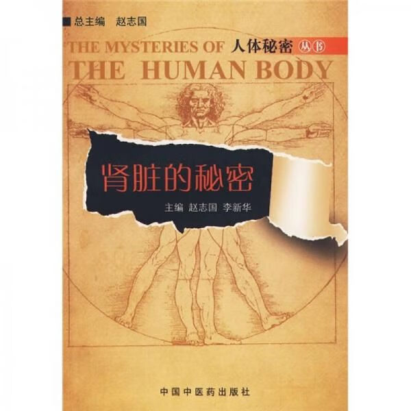 肾脏的秘密