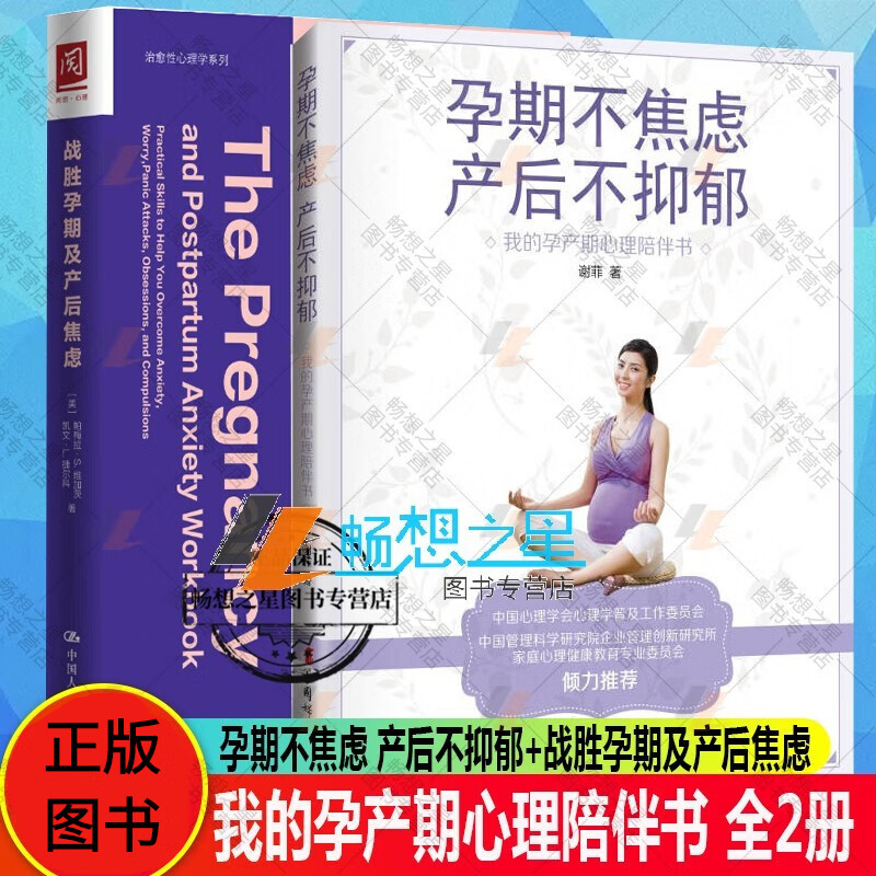 全2册 孕期不焦虑 产后不抑郁 我的孕产期心理陪伴书+战胜孕期及产后焦虑 产后抑郁心理学孕产妇保健孕前准备孕期指导书