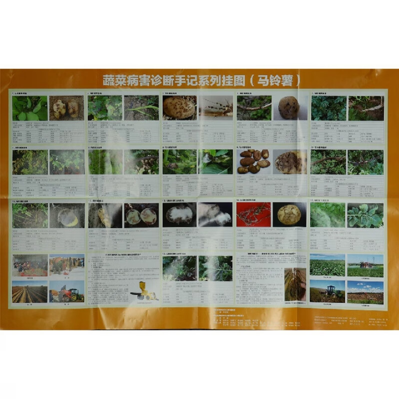 蔬菜病害诊断手记系列挂图（马铃薯）