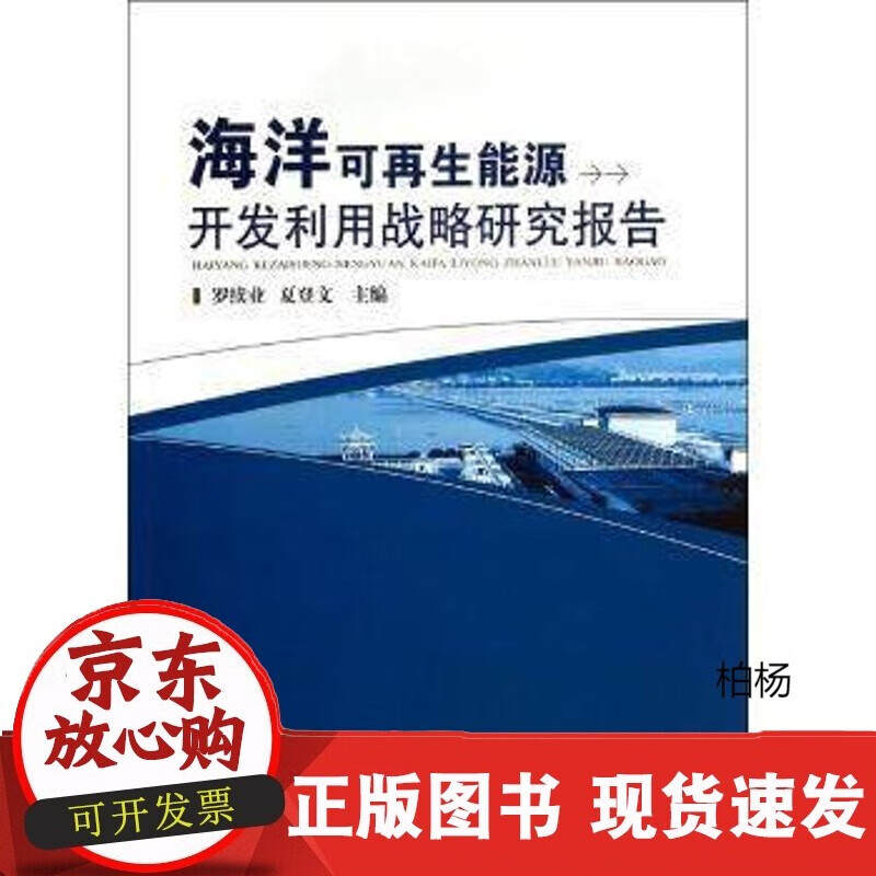 速发 海洋可再生能源开发利用战略研究报告