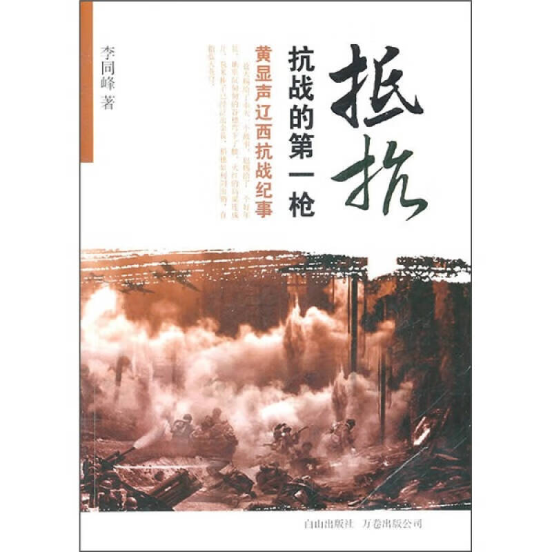 抵抗【好书】