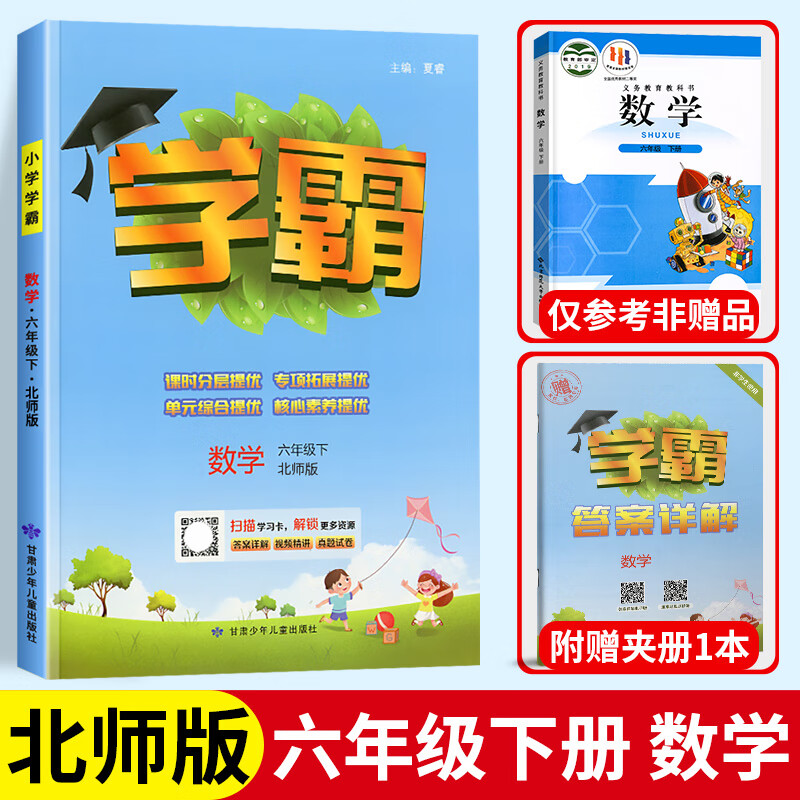 【科目版本自选】2023新版学霸六年级上小学六年级上册下册专项课时优化作业六年级上册同步训练练习册测试题经纶学典 【六年级下F/A】数学 北师版