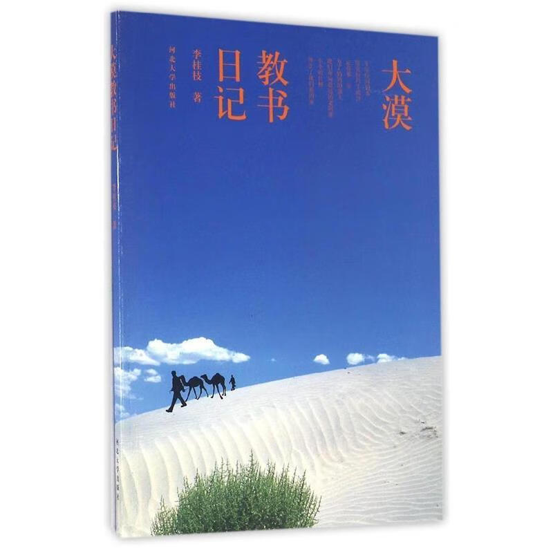 大漠教书日记 李桂枝