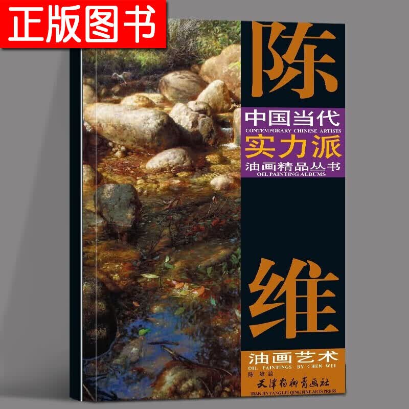 陈维油画艺术 中国当代实力派 陈维 绘 天津杨柳青画社