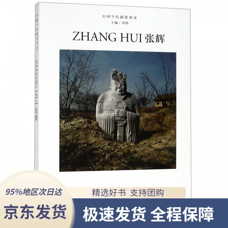 【 京东配送 支持团购】张辉中国当代摄影图录刘铮浙江摄影出版社9787551425254