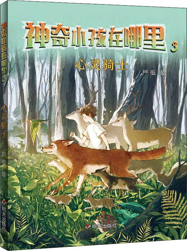 心灵骑士 严钰【好书，下单速发】